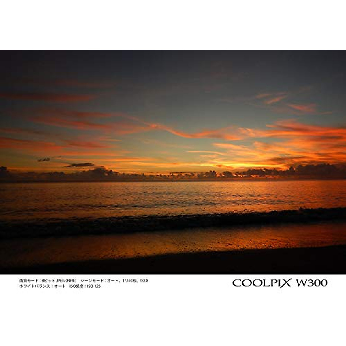 Nikon Digital Camera COOLPIX W300 COOLPIX Orange Waterproof Camera (International Version)