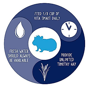 Vitakraft Vita Smart Guinea Pig Food - Complete Nutrition - Premium Fortified Blend with Timothy Hay for Guinea Pigs, 8 Pound (Pack of 1)