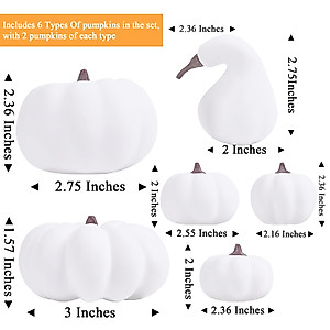 Lamris Pumpkin Decor Set of 12 White Mantel Table Centerpiece Farmhouse Thanksgiving Fall Decorations for Home