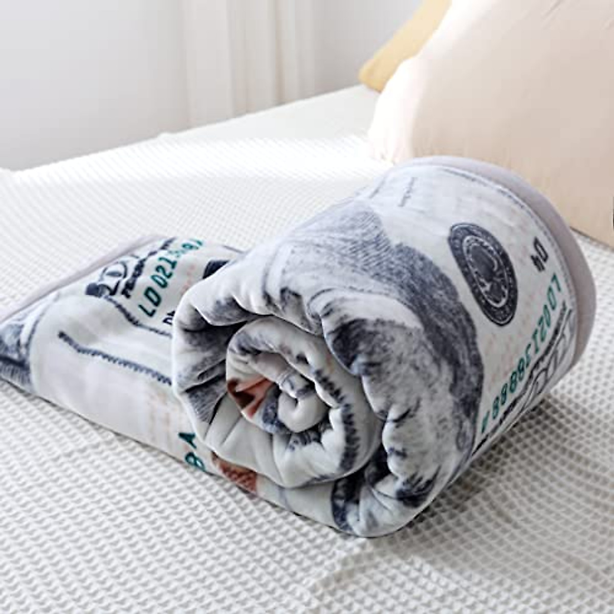 USA 100 Dollar Blanket, Traveling, Hiking, Camping, Full Queen, TV, Cabin, Couch, Bed Throw. 75" Wx90 H 3.5LBS, Reversable, Fuzzy Mink Cozy Warm Home Fashion