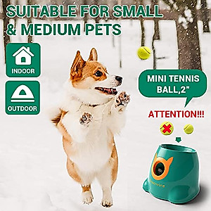 Greenvine Automatic Dog Ball Launcher Interactive Ball Thrower Fetch it Machine 6 Balls Included Premium