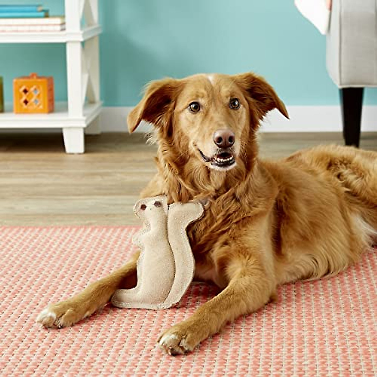 SPOT Dura-Fused Leather Squirrel - Dog Toy with Squeaker, Made With Real Leather and Jute Fabric, Interactive Toy for Aggressive Chewers, Durable Squeaky Toy for Dogs and Puppies, Small - 8in