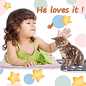 4 Pieces Rabbit Guinea Pig Bed Mats Soft Plush Bunny Pad Mats Small Animal Dog Cat Bed Dog Crate Kennel Pad Mat Hamster Cozy Dog Bed Mat for Small Animal (Big Twinkle, 10 x 11 Inch)