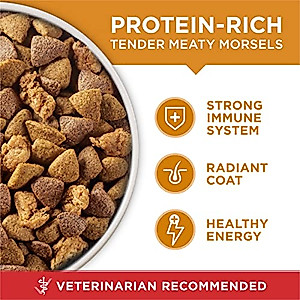 Purina ONE Chicken and Rice Formula Dry Dog Food - 8 lb. Bag