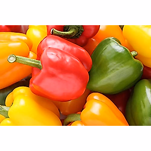 Rainbow Blend Sweet Bell Pepper Seeds, 50+ Heirloom Seeds Per Packet, (Isla's Garden Seeds), Non GMO Seeds