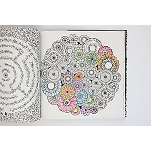 Secret Garden: An Inky Treasure Hunt and Coloring Book for Adults