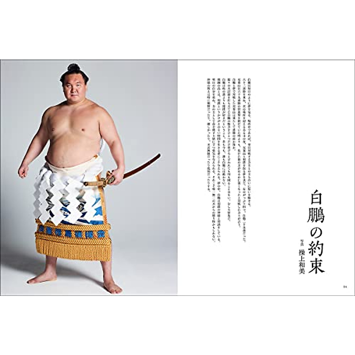 SWITCH SPECIAL ISSUE 白鵬翔 さざれ石の巌——大横綱の軌跡