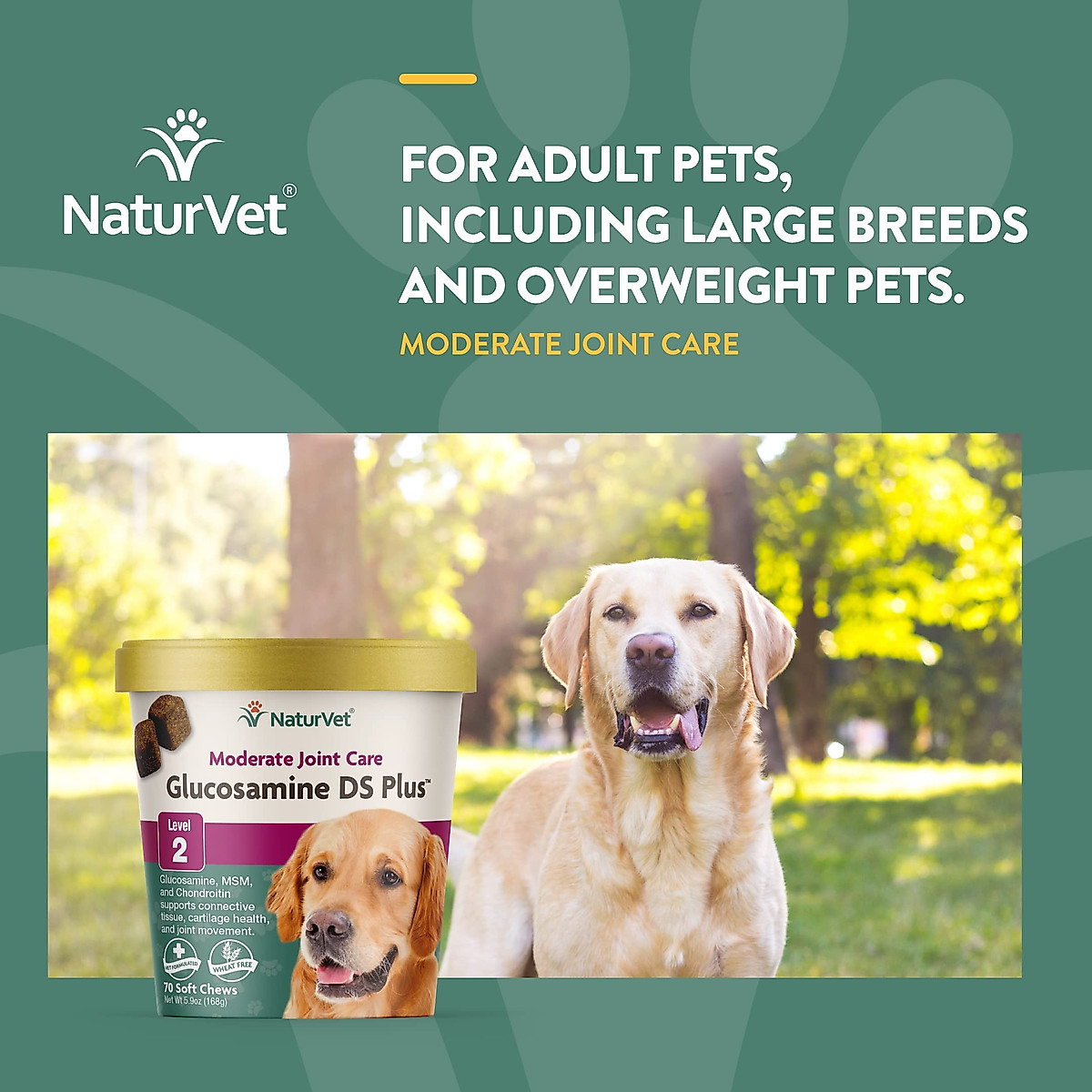 NaturVet – Glucosamine DS Plus - Level 2 Moderate Care – Supports Healthy Hip & Joint Function – 70 Soft Chews & Advanced Probiotics and Enzymes Supplement, Plus Vet Strength Probiotic 70 Soft Chews