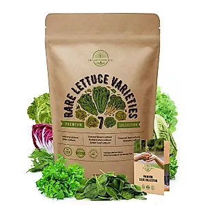 Organo Republic 7 Lettuce Seeds Variety Pack - Non-GMO Heirloom for Lettuce Hydroponic, Aerogarden, Indoor & Outdoors. 3800+ Seeds: Bibb, Romaine, Iceberg, Green Oakleaf, Red Leaf Lettuce