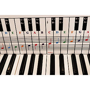 QMG Piano and Keyboard Note Chart, Use Behind the Keys, Ideal Visual Tool for Beginners Learning Piano or Keyboard, Easy to Set Up, for any Medium to Full Size Piano or Keyboard, Cover Four Octaves