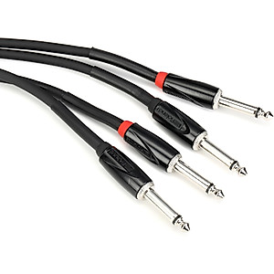 Roland Black Series Interconnect Cable, Dual 1/4-Inch to 1/4-Inch, 10-Feet
