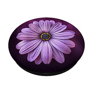 Purple Daisy Flower For Women PopSockets Swappable PopGrip