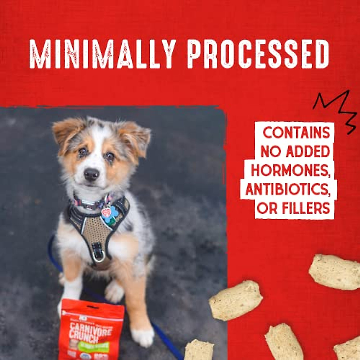 Stella & Chewy's Freeze-Dried Raw Carnivore Crunch Cage-Free Duck Recipe Dog Treats – 3.25 oz. Bag