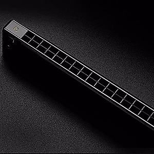 WAAZVXS 24 Holes Harmonica Mouth Organ Key Of C Musical Instruments ABS Comb Silver Black Blue Wind Wood Harp (Color : Black Key of C)