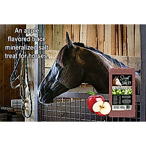 Kalmbach Feeds Sweet N Salty Apple Flavored Salt Treat Brick for Horses, 4 lb