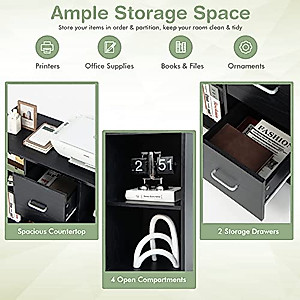 IFANNY 2 Drawer File Cabinet, Lateral Filing Cabinet with Shelves & Wheels, Black Buffet Sideboard, Rolling Storage Cabinet, Wood Cabinets for Home Office, Dining Living Room, Kitchen, Bedroom