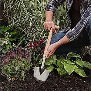 Kent & Stowe Stainless Steel Perennial Spade, Pointed Head Garden Spade for Easy Slicing Through Roots, All Year Round Garden Tools Made from Stainless Steel and Ash Wood