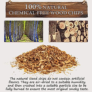 MTRSUE Wood Cocktail Smoker Kit with 4 Wood Chips Apple Cherry Pecan Oak,Old Fashioned Whiskey Smoker Infuser, Infused Cocktails Wine (Cocktail Smoker Set+4 Woodchips)