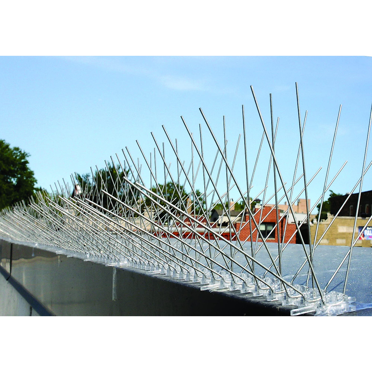 Bird-X Stainless Steel Bird Spikes, 8-inch Extra-Wide Spikes, Bird Spikes for Pigeons and Other Small Birds, Easy to Install, Contains 2 ft. Strips, Covers 100 Linear Feet Area, EWS-100