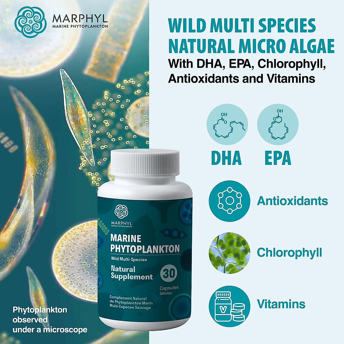 MARPHYL Marine Phytoplankton Wild Multi Species Natural Supplement - 150 mg per capsule - organic - 30 vegan capsules - from Vancouver Island, Canada
