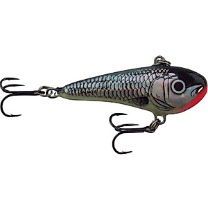 Chubby Darter / CD3 Holo Grey Shiner / CD_030_SI_HGS
