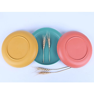 LuckyZone 7.8 Inches Unbreakable Wheat Straw Plates - Lightweight & Reusable Plate Sets of 4 for Kitchen Dishes - Dishwasher & Microwave Safe - Healthy, BPA Free & Eco-Friendly (4 Color)