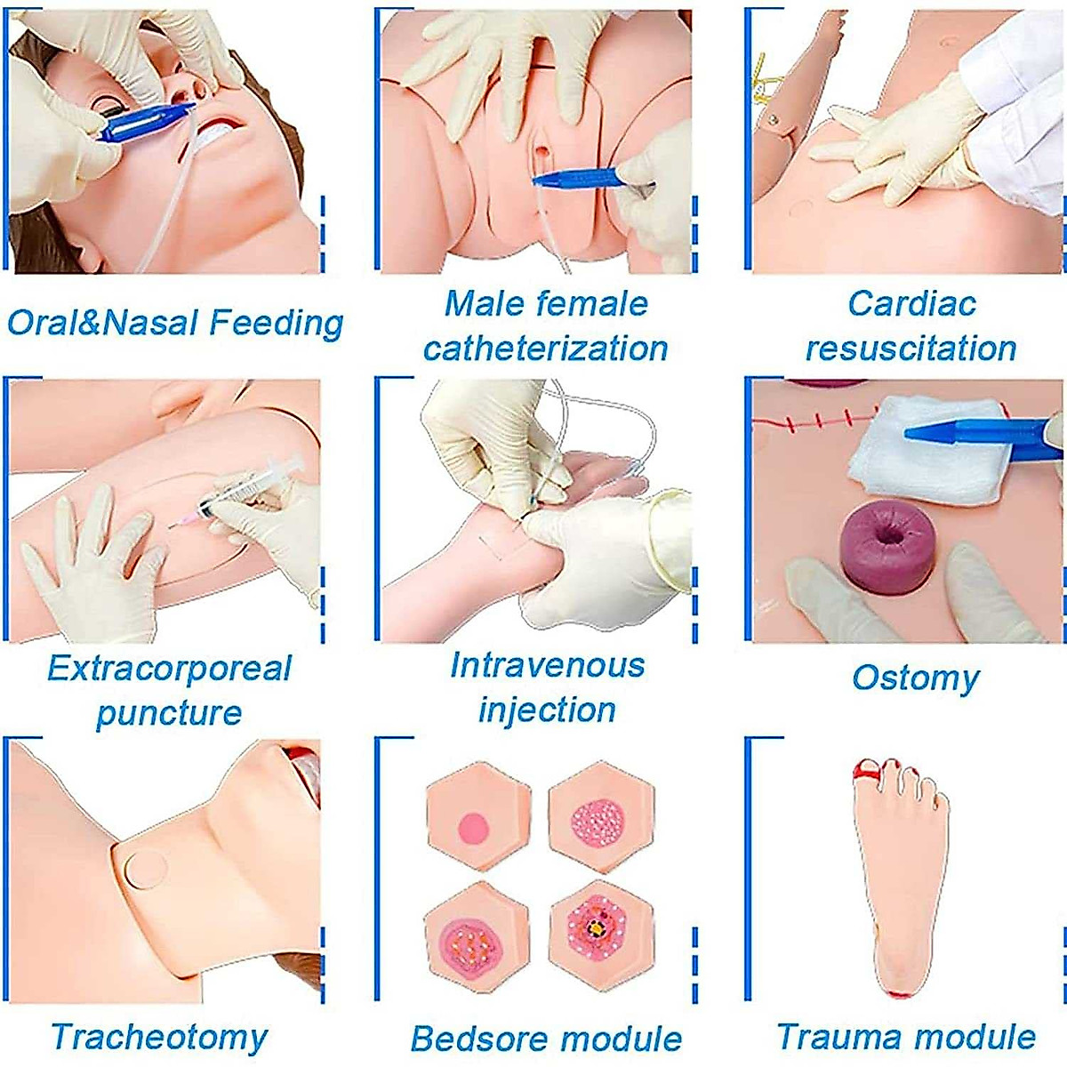 Nursing Training Manikin, Demonstration Human Manikin for Nursing Training, Training CPR Simulator, 170 cm Male & Female PVC Anatomical Mannequin, Body Care Simulator Model
