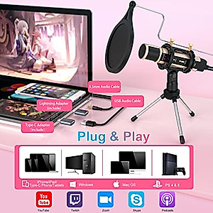 ZealSound Studio Recording Microphone, Condenser Broadcast Microphone w/Stand Built-in Sound Card Echo Recording Karaoke Singing for Phone Computer PC Garageband Smule Live Stream & YouTube (Gold)