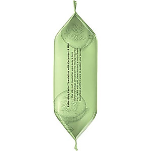 Burt's Bees Sensitive Facial Cleansing Towelettes with Cucumber and Mint - 30 Count