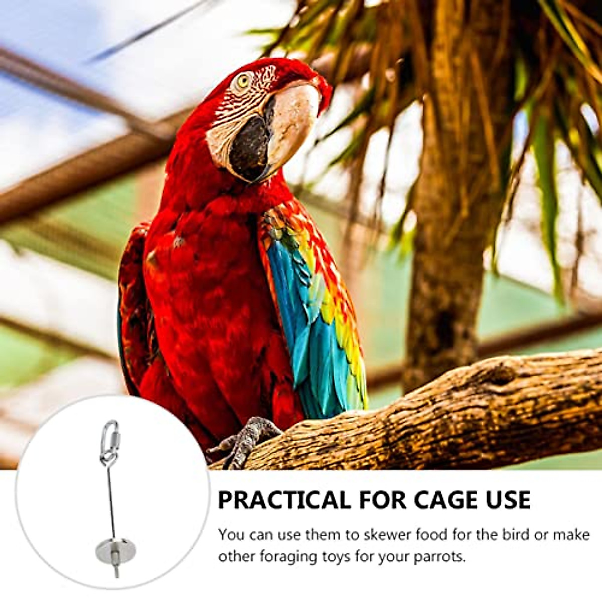 Mipcase Parakeets Feeding Metal Cockatiels Finches Food for Parrot Tray Foraging Vegetable Treat Cages Fork Stick Device Toy Meat Bird Feeder Feeders Fruit S Stainless Cage Steel