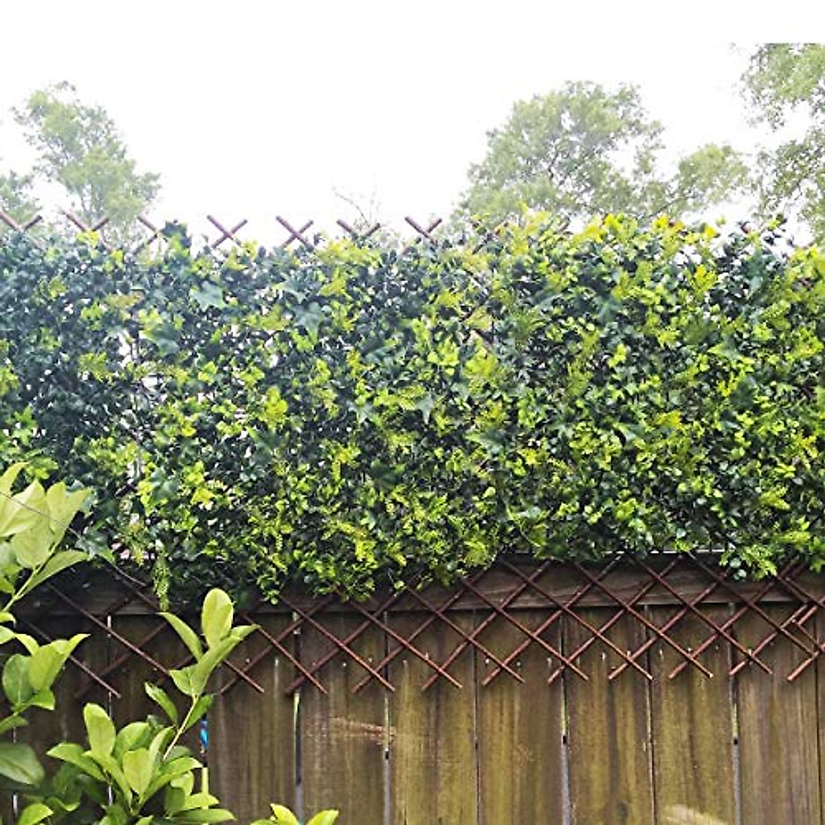GLANT Lattice Fence Willow Expandable Plant Climbing Lattices Trellis Fence,Open Screen Fencing,Willow (1)