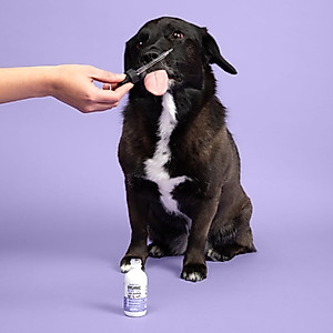 Zoomi Pets Melatonin + Organic Calming Hemp Oil for Dogs Anxiety and Stress Relief - Calming Drops Pet Hemp Oil for Dogs & Cats - Hip and Joint Support Supplement for Dogs Pain Management (2oz)