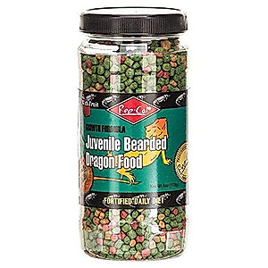 Rep-Cal Maintenance Formula Bearded Dragon Food