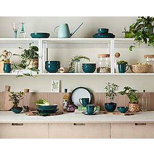 Denby Greenwich Pasta Bowl Set of 2