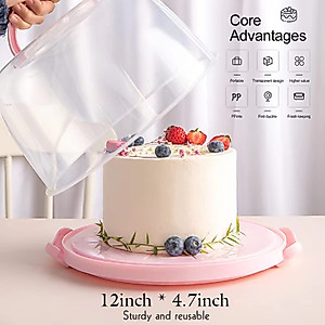 QianChi Cake Keeper with Cover & Cupcake Insert - Plastic Cupcake Carrier with Handle - Round Cake Carrier with Lid,12 Cupcake Holder and 12 x 4.7 Inch Cake - Caddie for Travel & Includes Cake Turntable