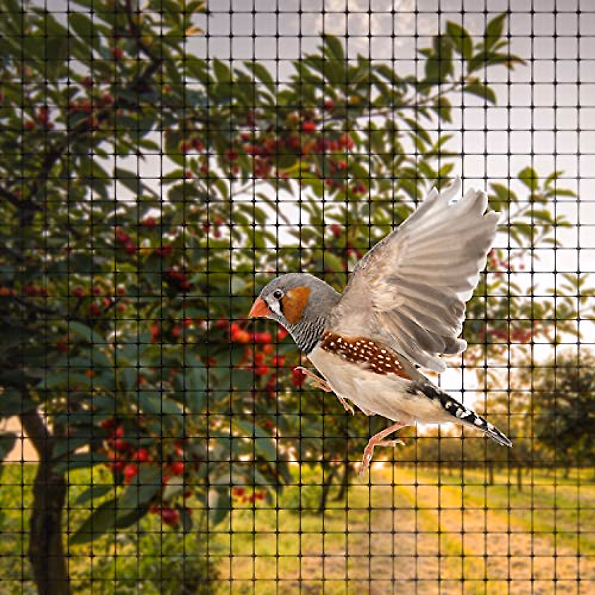 Ohuhu 6.6 x 65 FT Heavy Duty Bird Netting for Garden, PP Material Anti-Bird Reusable Garden Nets for Fruit, Vegetable, Plant Trees, Fencing Protection from Birds Deer Etc, Bonus 50 PCS Cable Ties