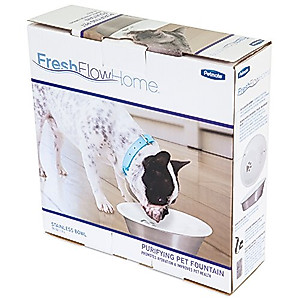 Petmate Fresh Flow Home Fountain, 50 oz