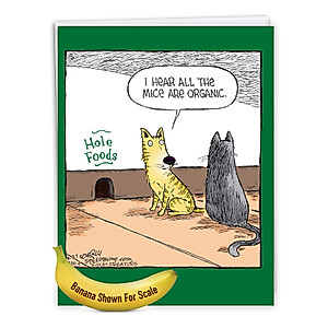 The Best Card Company - Funny Cartoon Stationery Set for Birthdays with Envelope (Letterhead 8.5 x 11 Inch) - Hole Foods J2684BDG