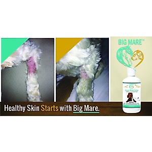 Big Mare Canine Wound Lotion Antibacterial/Antifungal. Clinically Proven Effective for Hot Spots, Open Wounds, Stitches, Yeast, Flea Irritation, Bug Bites & More. Veterinary Approved & Recommended