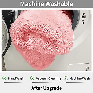 KICHOWUA 3x5 Pink Area Rugs for Living Room, Machine Washable Soft Shaggy Rugs Fluffy Carpets, Non-Slip Indoor Floor Carpet for Bedroom, Kids Baby Boys Teen Dorm Home Decor Aesthetic