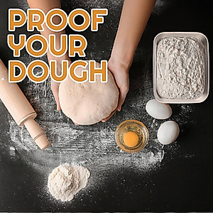 Wensdr 6 Pack Pizza Dough Proofing Box with Lid,Stackable Stainless Steel Pizza Dough Proofing Containers,Homemade Dough Proofing Box,Pizza Dough Box,Pizza Proofing Box,Bread Proofing Box