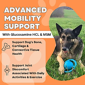 Rock-N-Ace Premium Canine Hip & Joint Support Supplement for Dogs | Glucosamine & Chondroitin MSM Large Dogs Chews | Advanced Mobility Support| Extend Joint Care for Dogs |Vet Recommended | 60 Count