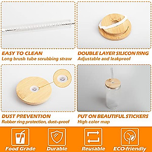 WISIMMALL Drinking Glasses with Bamboo Lids and Glass Straw 2PCS Set, 16oz Glass Cups with Lids and Straws, Beer Glasses, Iced Coffee Glasses, Soda, Gift 1 Cleaning Brushes