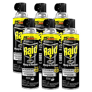 Raid Wasp and Hornet Killer (17.5 OZ Pack - 6)