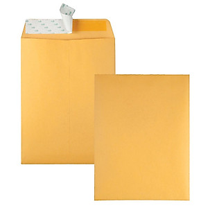 Quality Park 9" x 12" Self-Seal Catalog Envelopes, for Mailing, Organizing and Storage, Brown Kraft, Heavy 28-lb Paper, 100 Per Box (QUA44562)