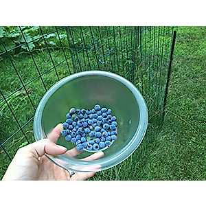HSelar Best Bird Netting - Protect Plants and Fruit Trees from Birds and Wildlife – 13.12Ft x 49.2Ft Bird Netting with 50 Pcs Nylon Cable Ties - Reusable Instantly (Large Size)