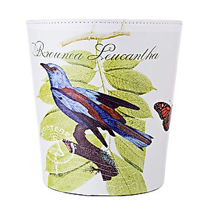 Lingxuinfo Scakbyer Retro Style Small Trash Can Wastebasket, Decorative Trash Can Waste Paper Basket Waste Container Bin for Bathroom, Bedroom, Office and More, 10L Capacity (Bird Butterfly)