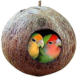 Litewoo Bird Nest House Bed Hut Natural Coconut Shell Seed Feeder Toy for Parrot Parakeet Cockatiel Conure Canary Finch Pigeon Hamster Gerbil Rat Mice Chinchilla Guinea Pig Cage Accessories