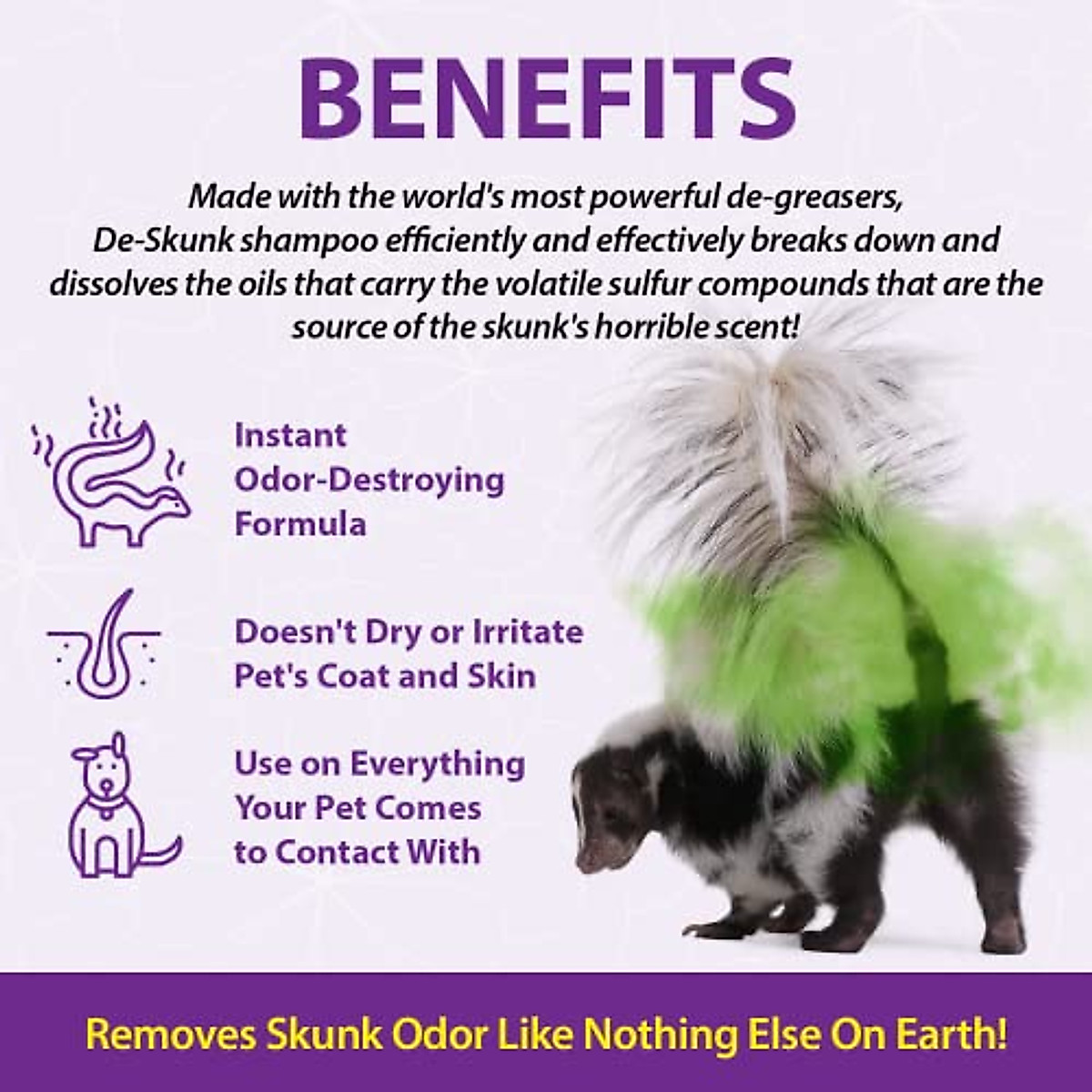 De-Skunk Odor Destroying Shampoo for Dogs, 32 oz. – Formulated with Powerful De-Greasers, Skunk Odor Remover for Pets, Carpet, Furniture and More – Removes Skunk Smell Fast, Clear, (FG00065)