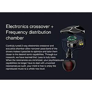 Senlee TRN ST1 1BA+1DD in Ear Buds Earphones Hybrid Driver Headphones IEM Sport Headsets with Detachable 2 Pin Cable for Audiophile Musician(No Mic, Purple)